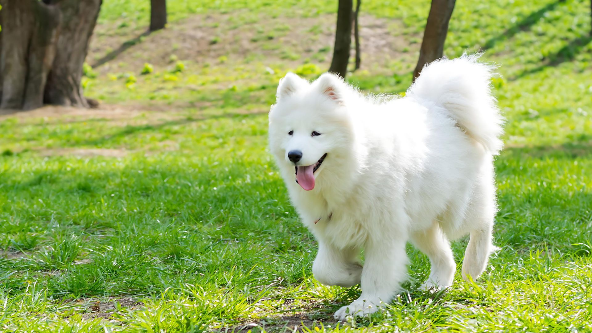 About Animal's Best Choice Veterinary Hospital | Vet In New Port Richey, FL