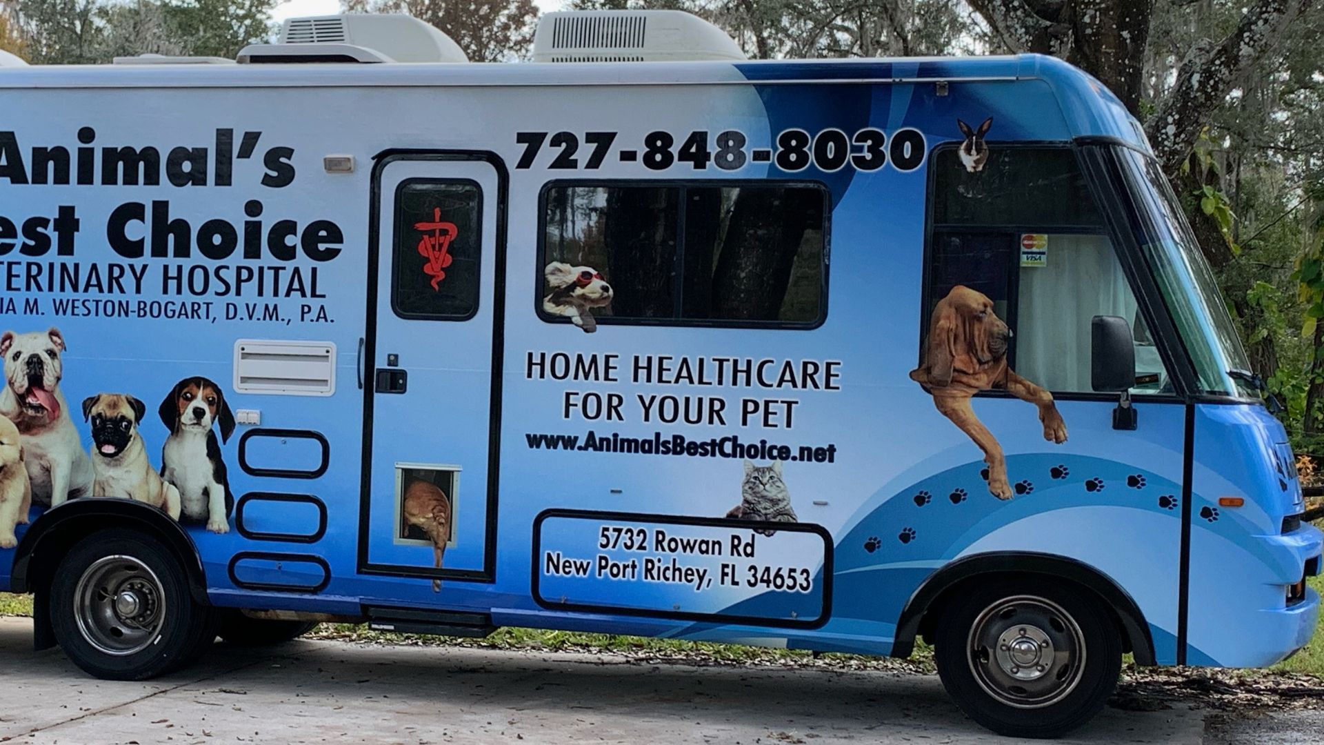 Pet Mobile Services In New Port Richey, FL | Animal's Best Choice ...